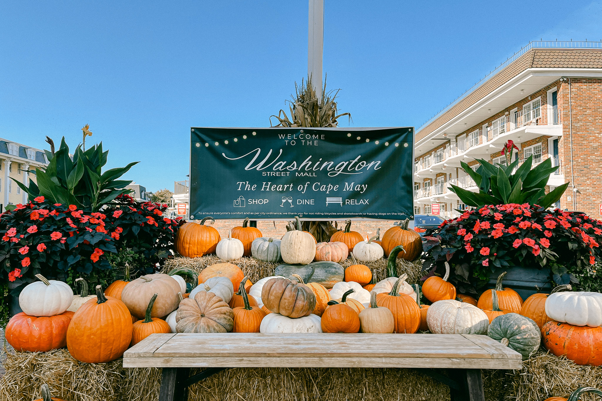 Top 10 Fall & Winter Events In Cape May, NJ – 2024